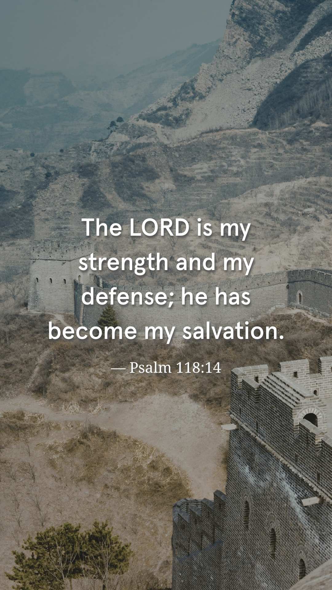 25 Bible Verses about Trusting God That Strengthen My Heart - Jesus ...